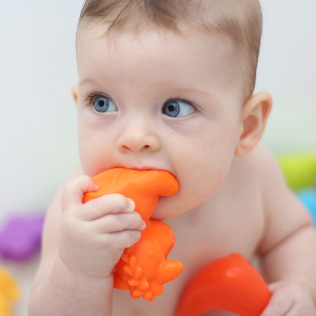 Jungle Fun Friends – Fully Sealed – Playgro Australia